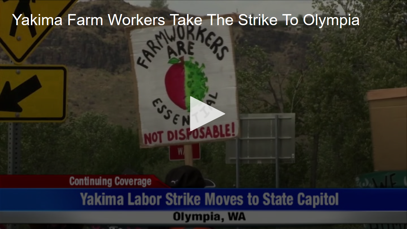 Yakima Farm Workers Take The Strike To Olympia | Fox 11 Tri Cities Fox ...