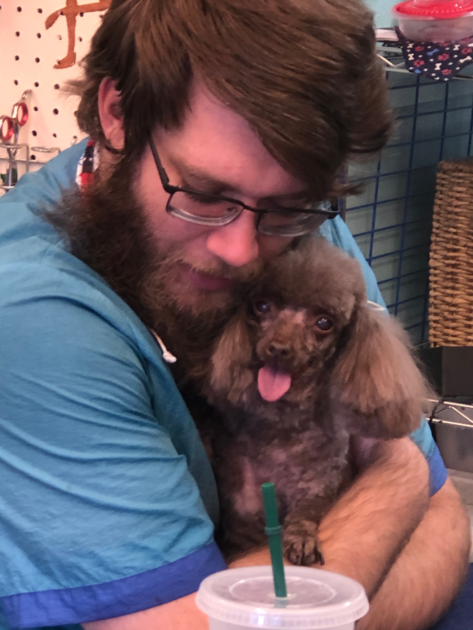 CHOOSING A GROOMER | Fox 11 Tri Cities Fox 41 Yakima