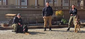 Benton County Sheriff’s Office introduces newest K9 teams | Fox 11 Tri Cities Fox 41 Yakima