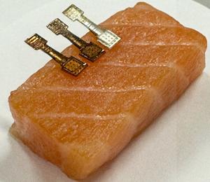 Sensor can tell exactly how fresh fish is in minutes | Fox 11 Tri ...