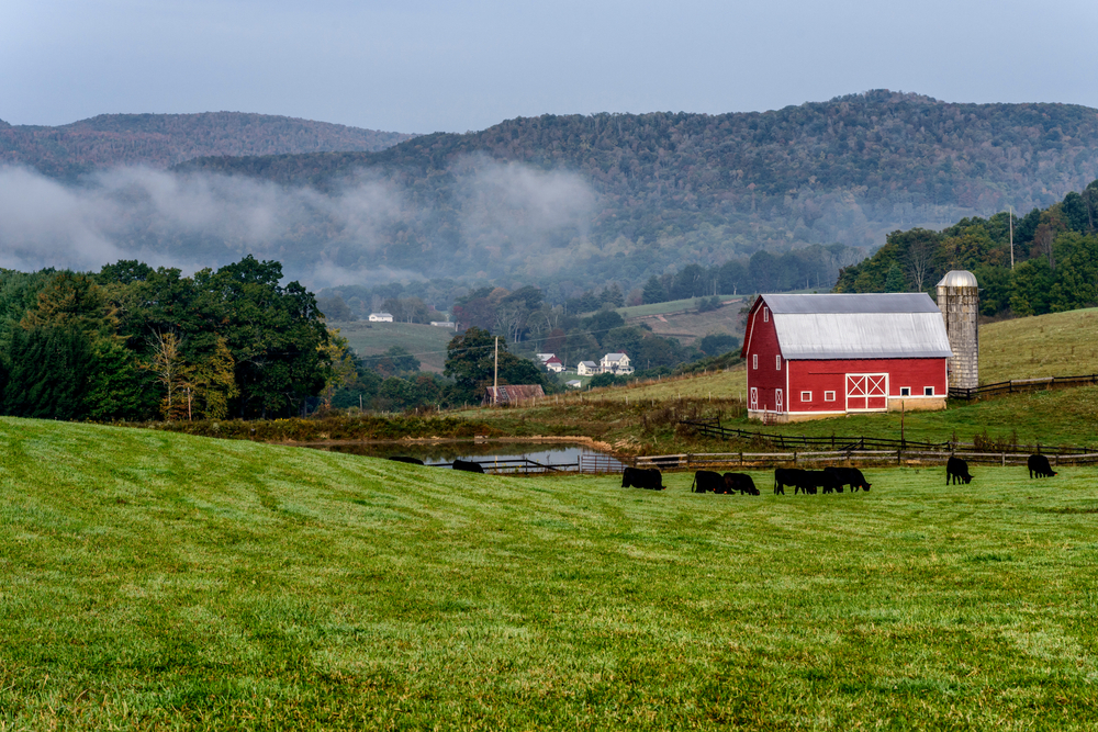 The Heart of American Farming: States With the Most Family-Owned Farms ...